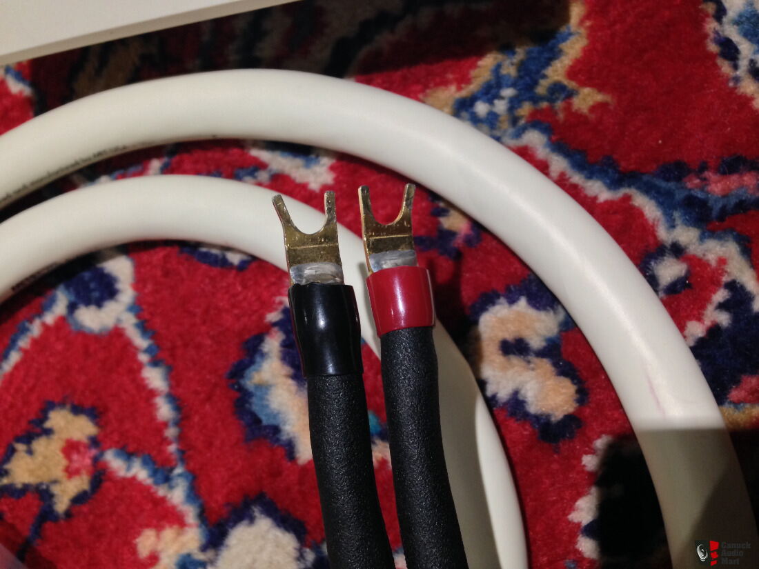 MIT-2 Terminator, 12 FEET,Bi-Wire Speaker Cables, MUSIC HOSE! Photo ...