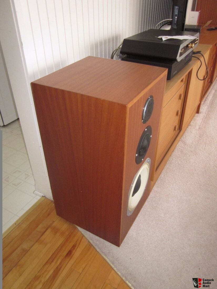 Floor Standing Homemade Speakers Photo #1399381 - Canuck Audio Mart
