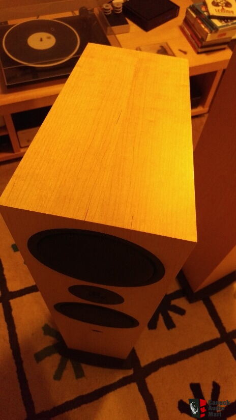 Linn NINKA Floorstanding Speakers Photo #1402748 - Canuck Audio Mart