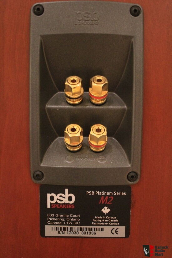 PSB Platinum M2 Flagship 30th anniversary High End speakers (with ...