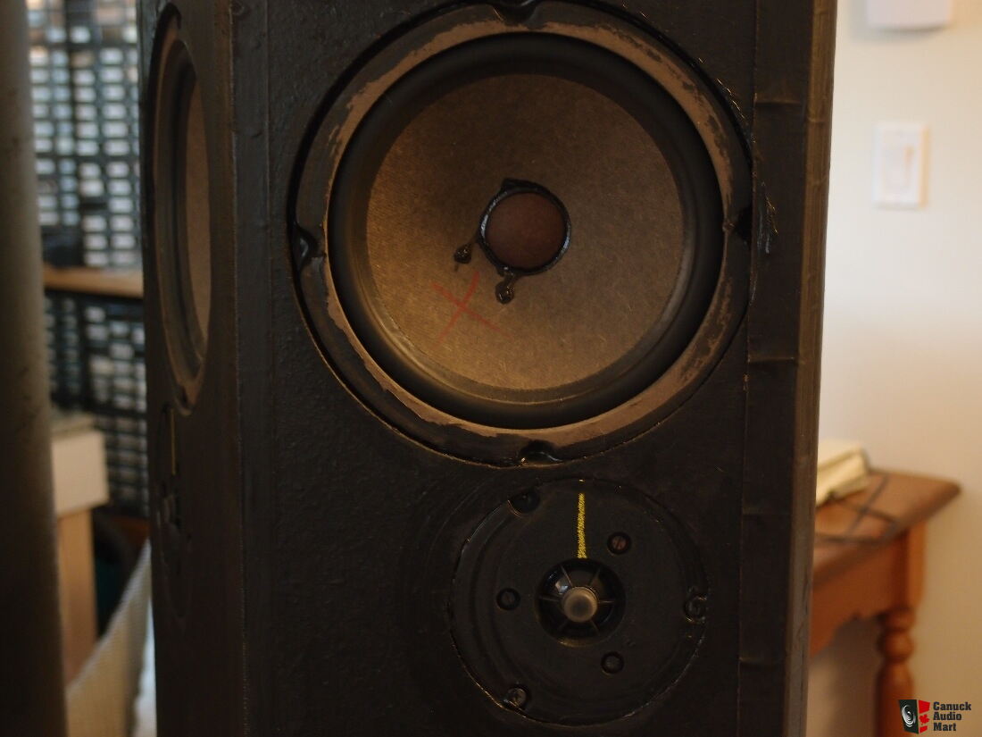A DCM Time Windows pair Photo #1438246 - Canuck Audio Mart