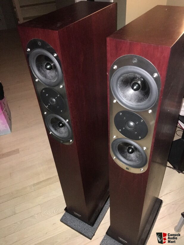 ASW Genius 300 Reference German Loudspeakers Photo #1451608 - Aussie ...
