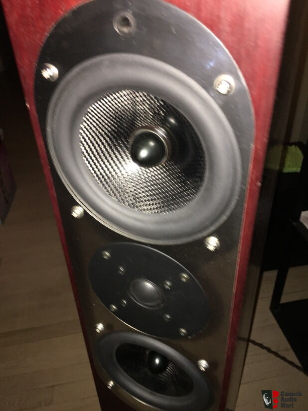 ASW Genius 300 Reference German Loudspeakers Photo #1451608 - Aussie ...