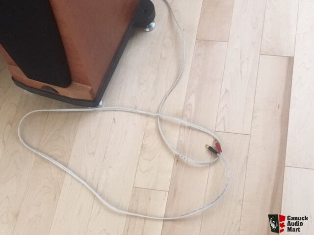QED Qudos 25th anniversary speaker cables Photo #1796874 - UK Audio Mart