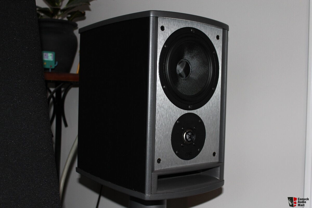 PSB Platinum M2 & stands Photo #1460998 - UK Audio Mart