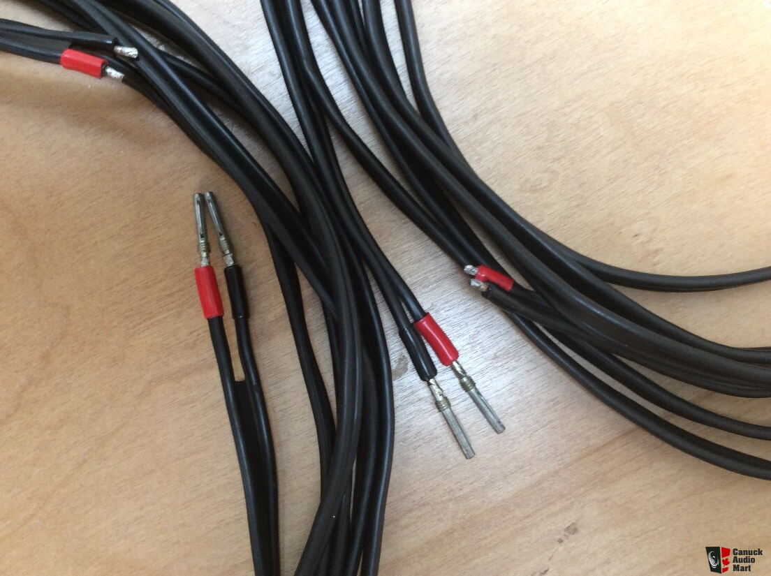 Naim NAC A4 Speaker Cable Photo #1481784 - Canuck Audio Mart