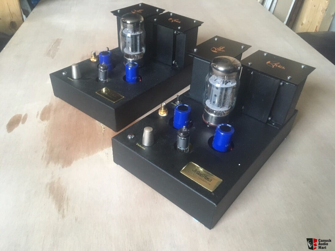 used John Blue Audio TL66 monoblocks For Sale - Canuck Audio Mart