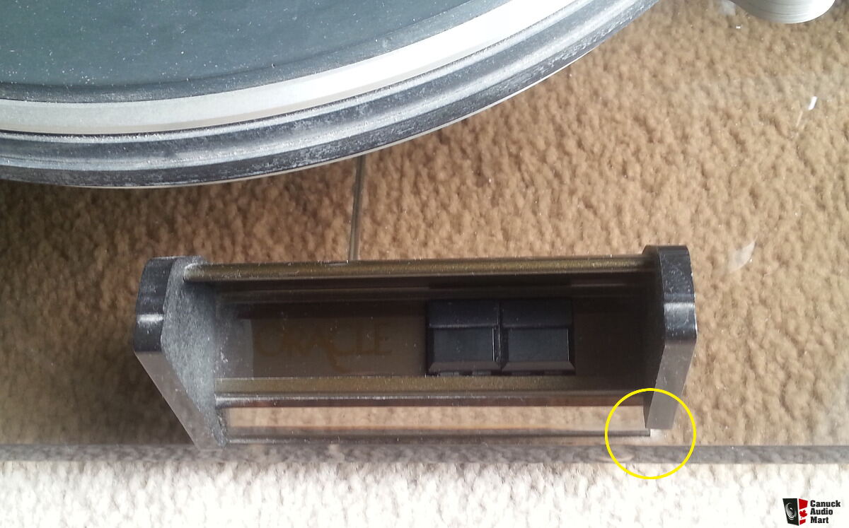 Oracle Delphi Mk. II turntable Photo #1493423 - Canuck Audio Mart