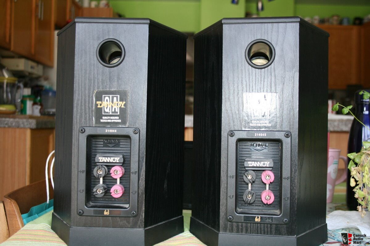Tannoy 603 Bookshelf speakers Photo #1499260 - US Audio Mart