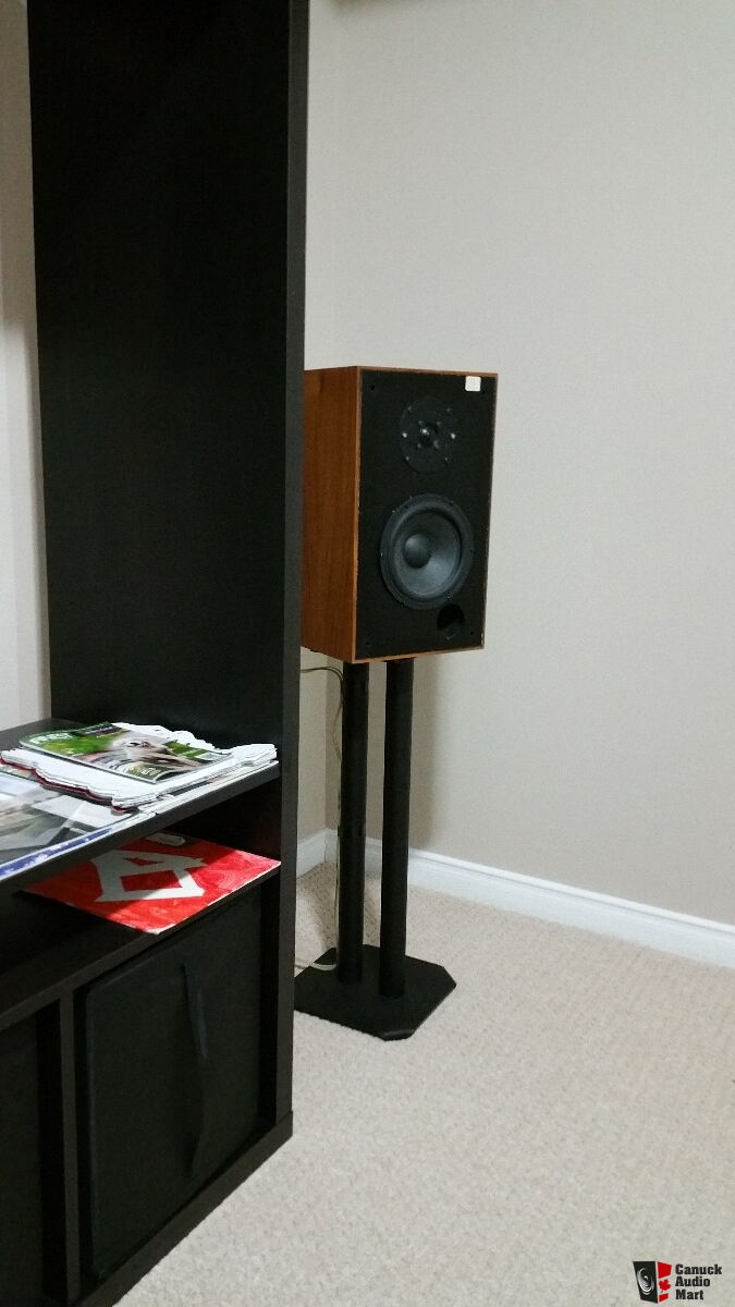 Celef Domestic II Super Speakers Photo #1501329 - UK Audio Mart