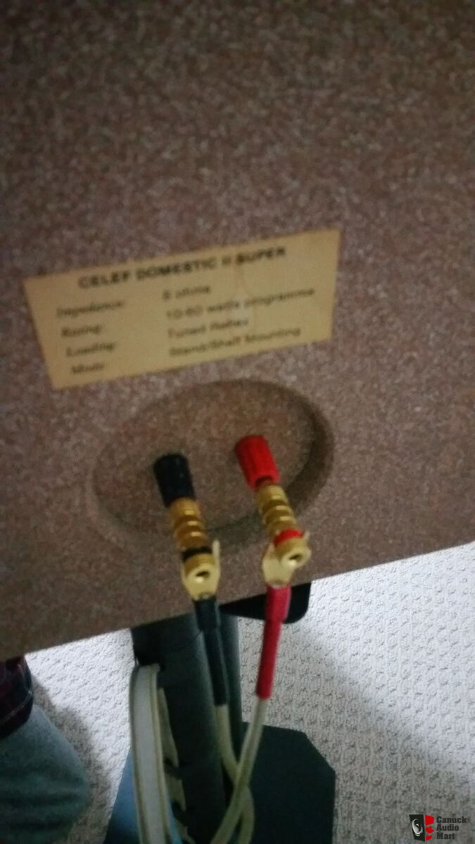 Celef Domestic II Super Speakers Photo #1501329 - US Audio Mart