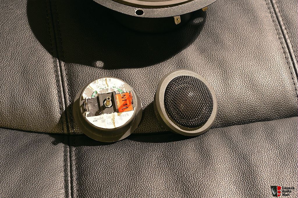 Dynaudio X-250 6.5 inch speaker set for cars Photo #1504995 - Canuck ...