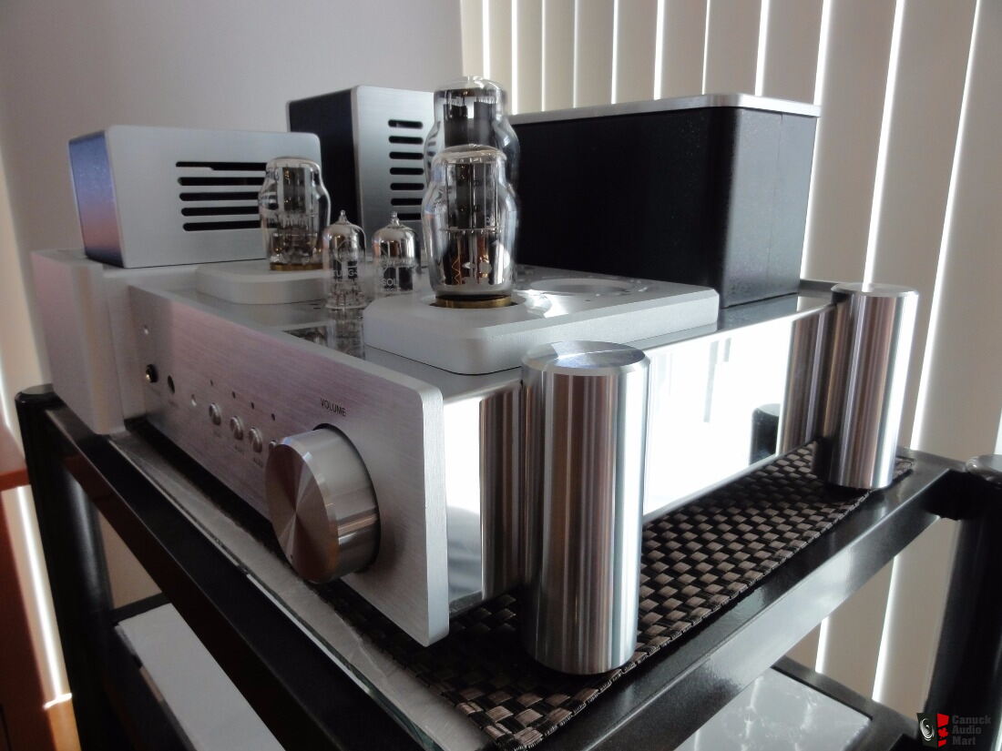Yaqin 300B Special Edition Integrated Tube Amplifier Photo #1510109 ...