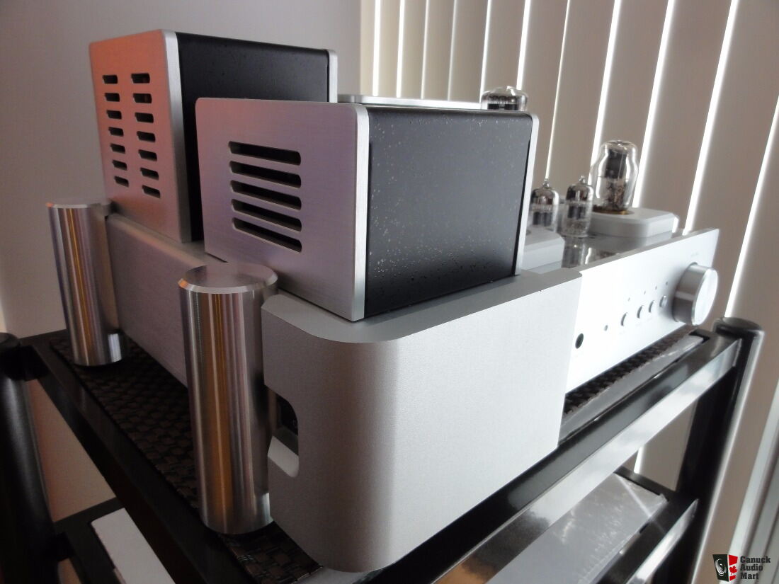 Yaqin 300B Special Edition Integrated Tube Amplifier Photo #1510109 ...