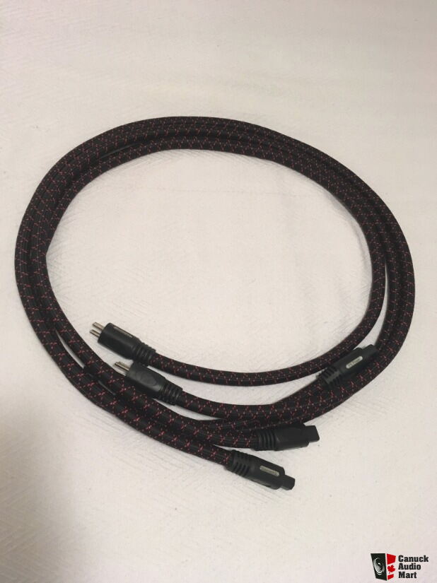 PS Audio Statement SC Power Cord Photo #1521845 - US Audio Mart