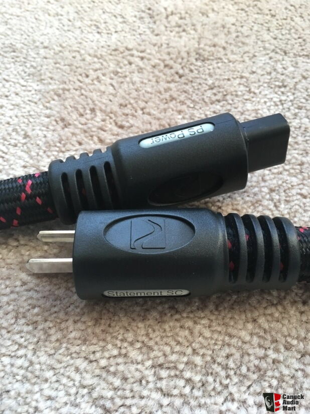 PS Audio Statement SC Power Cord Photo #1521845 - US Audio Mart