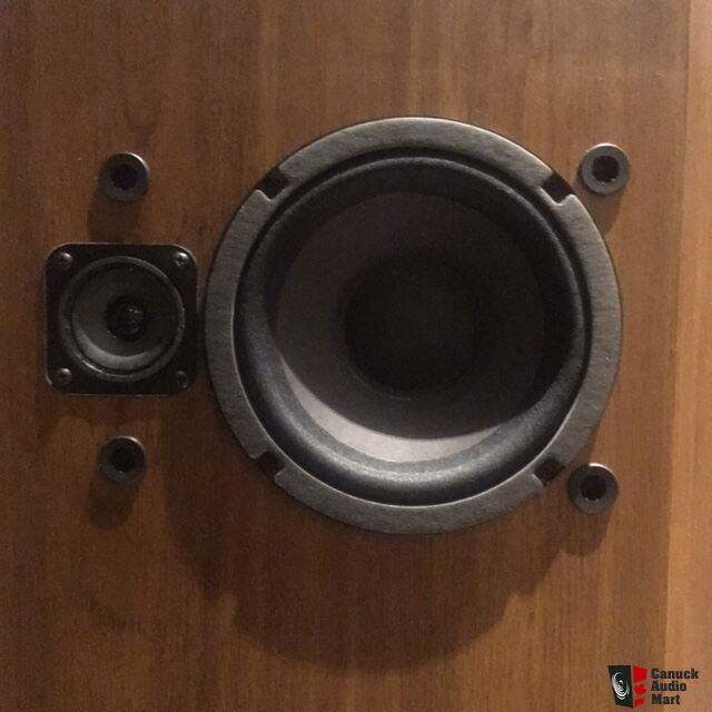 Immaculate Pristine Bose 401 floor speakers Photo #1531491 - UK Audio Mart