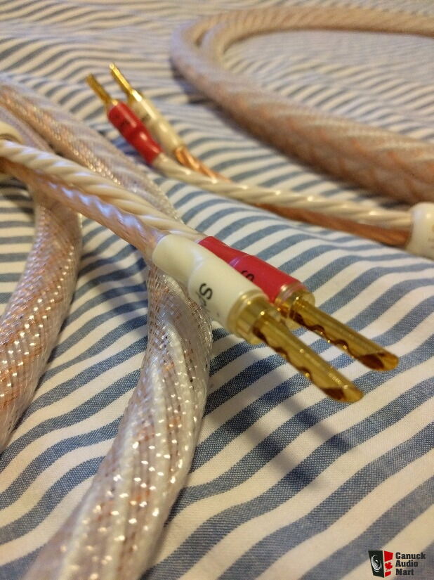 Shunyata CIRRUS SP Helix Geometry CSP-0151 Hand Built speaker cables, 8 ...