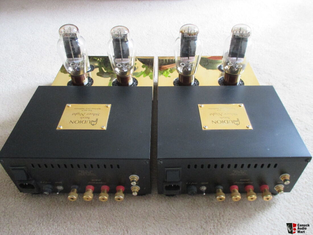 AUDION silver knight mono amps Photo #1539203 - Canuck Audio Mart