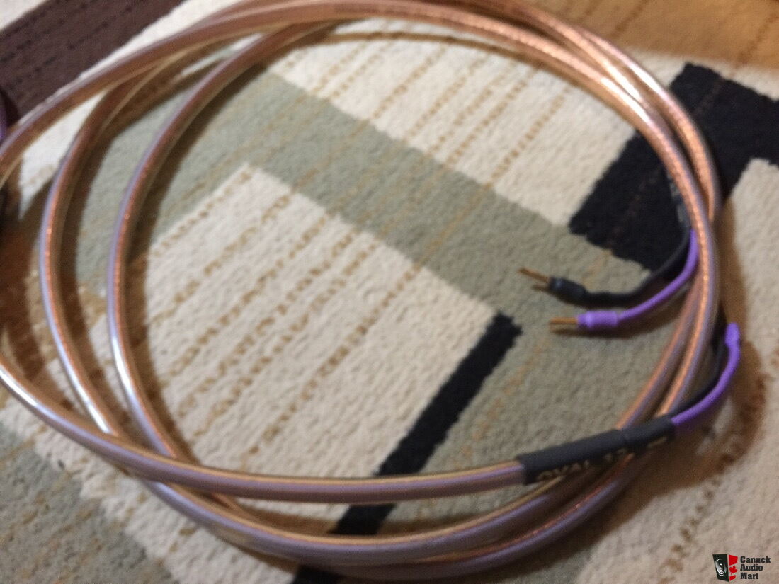Analysis plus oval 12 For Sale - Canuck Audio Mart