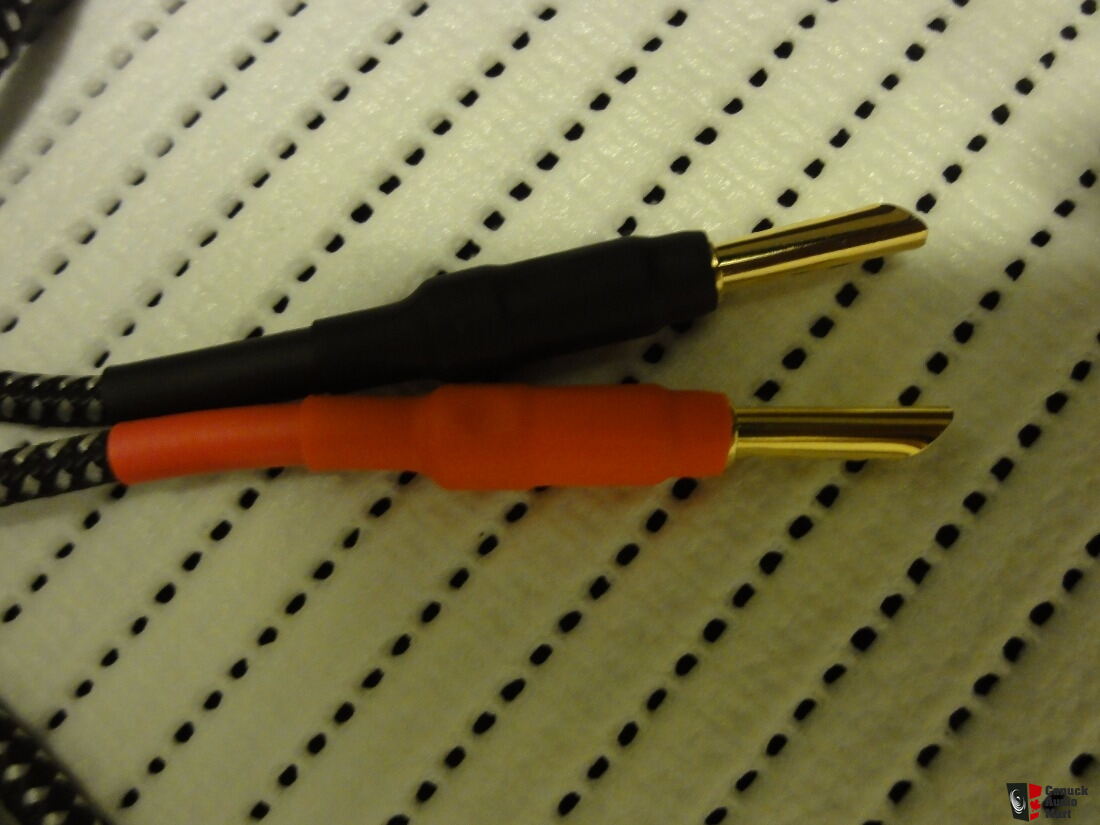 Brand New High Quality Speaker Cables Photo #1555630 - Canuck Audio Mart