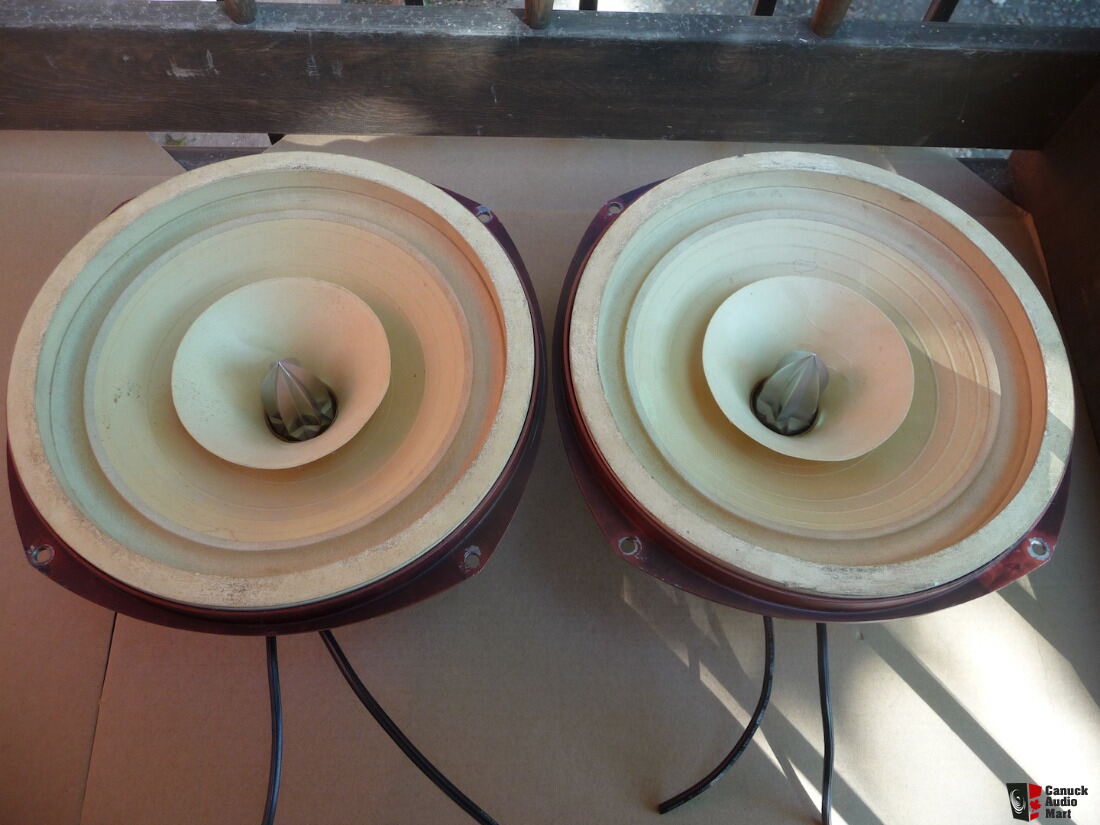 Coral Beta 8 Speakers Photo #1561760 - Canuck Audio Mart