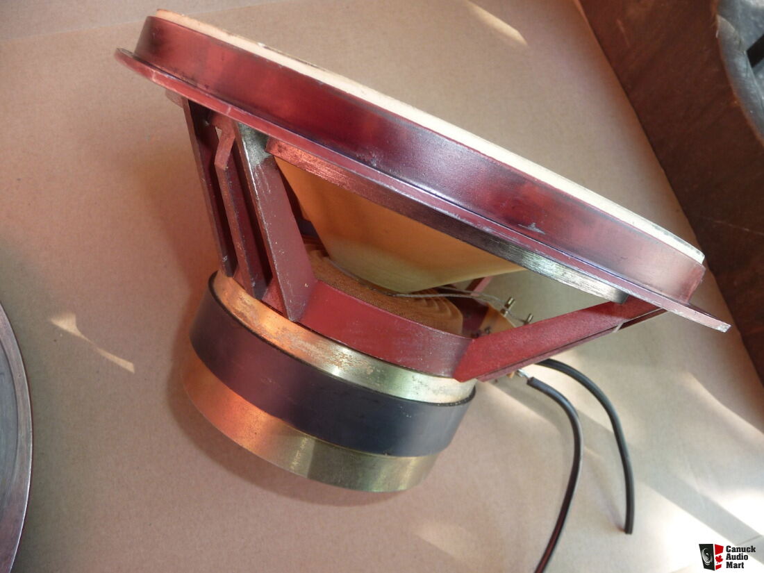 Coral Beta 8 Speakers Photo #1561760 - Canuck Audio Mart