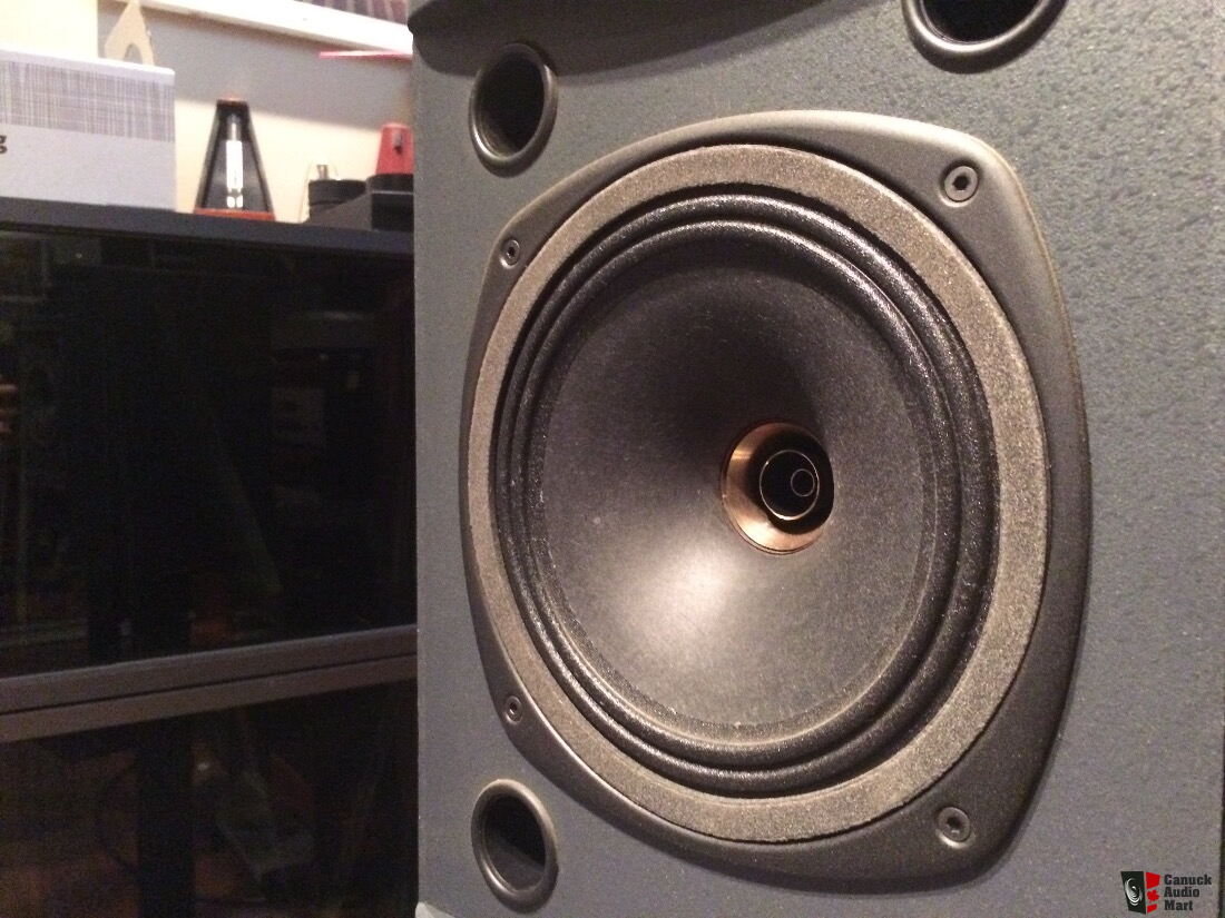 Tannoy I8 Profesional Series Monitors Photo #1565011 - US Audio Mart