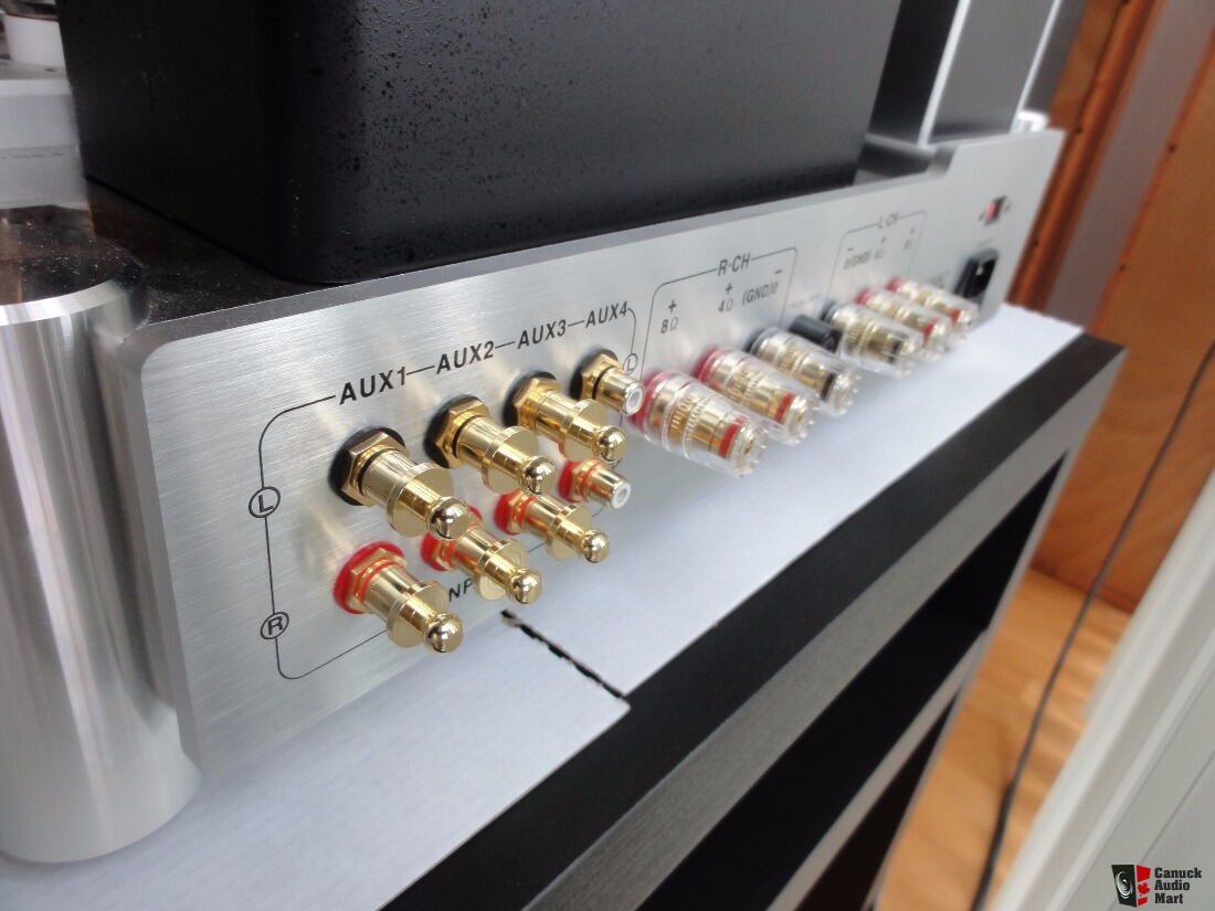 Yaqin 300B Tube Integrated Amplifier - Special North American Edition ...