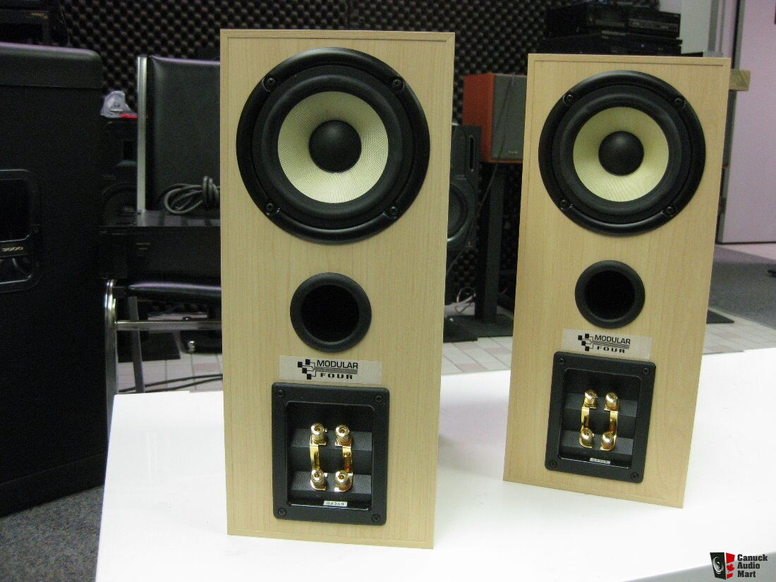 Angstrom Modular Model 4 Loudspeakers Photo #1580092 - Canuck Audio Mart