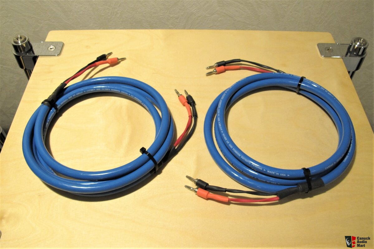 Cardas Quadlink 5-C speaker cables (8 feet) - NEAR MINT !!! Photo ...