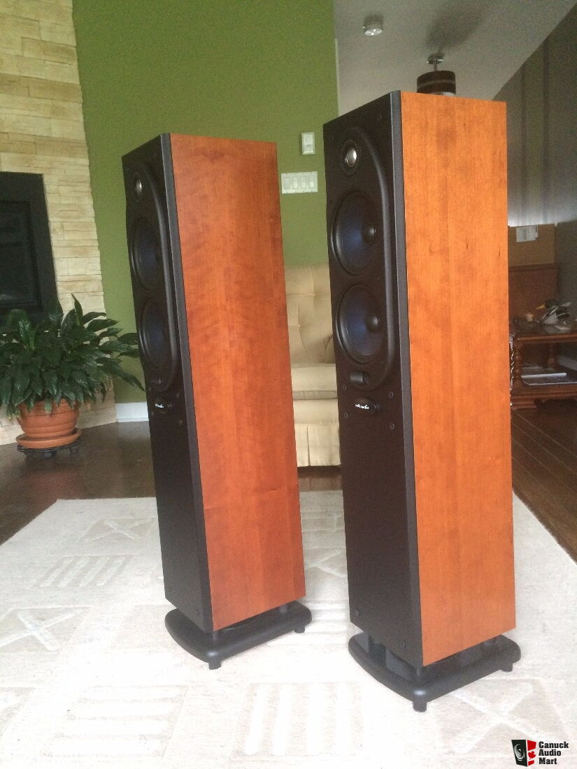 Polk Audio RT800i Floorstanding Speakers Photo #1619887 - US Audio Mart