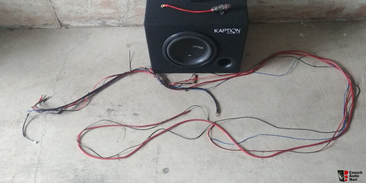 Kaption Audio 10" sub Photo #1626346 - Canuck Audio Mart