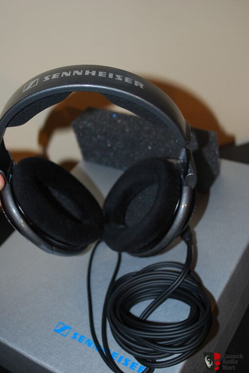 Sennheiser HD650 (opt.: Balanced XLR 4-pin cable for 35$) Photo #165490 ...