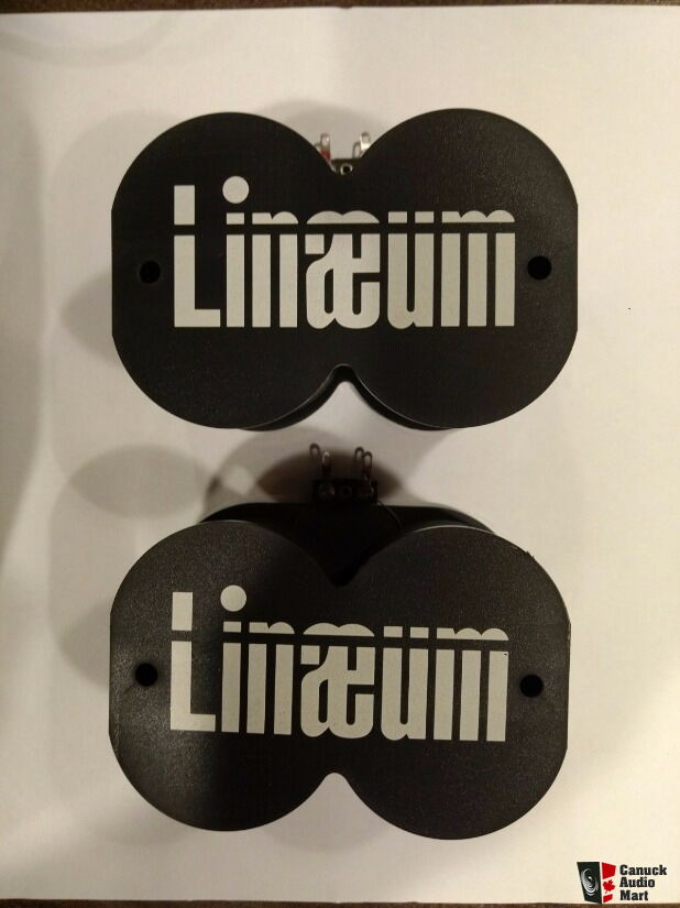 Linaeum Ribbon Tweeters. Japanese Versions Photo #1655569 - Canuck ...