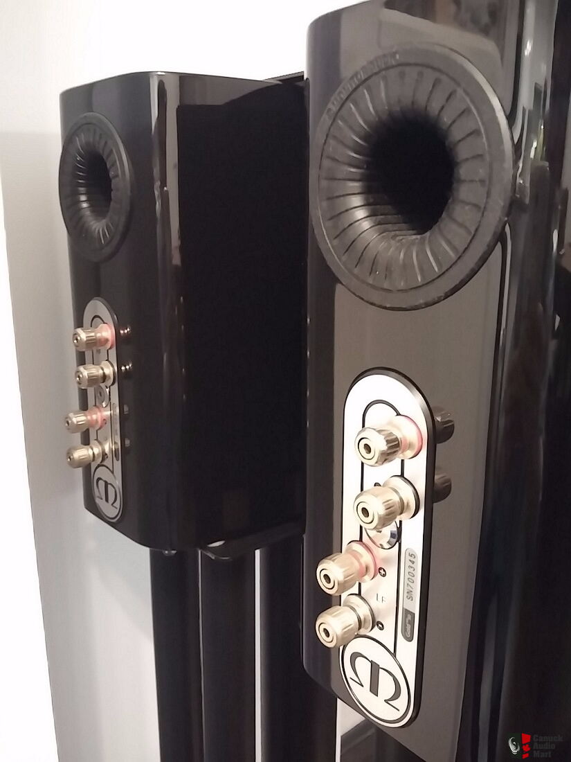 Monitor Audio Gold GX50 Bookshelf Speakers in Gloss Piano Black with ...