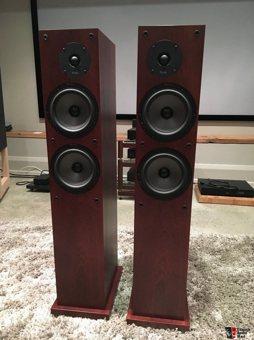 ProAc Studio 140 MK2 Photo #1718202 - Canuck Audio Mart
