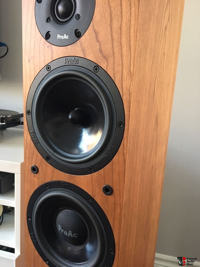SALE PENDING - Proac Studio 148 Photo #1728956 - US Audio Mart