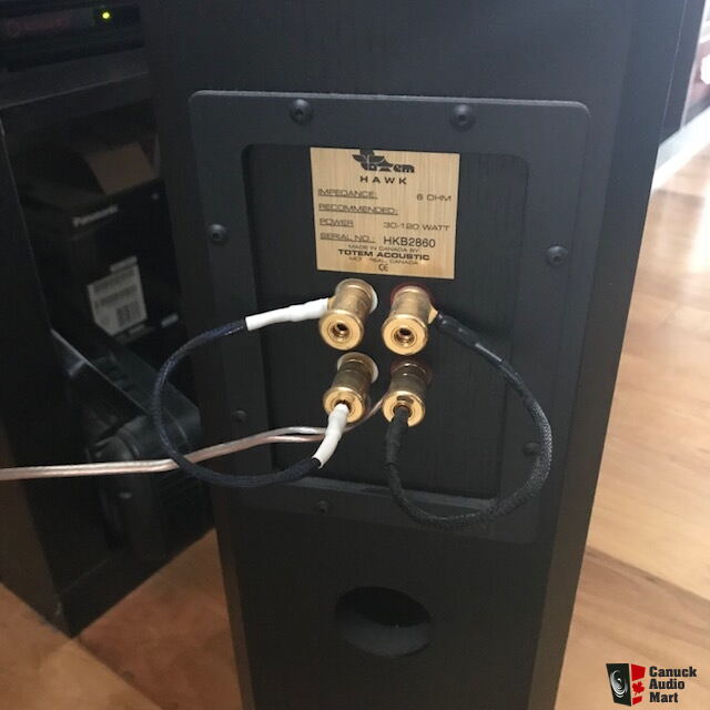 Totem Acoustic HAWK speakers Photo #1741540 - US Audio Mart
