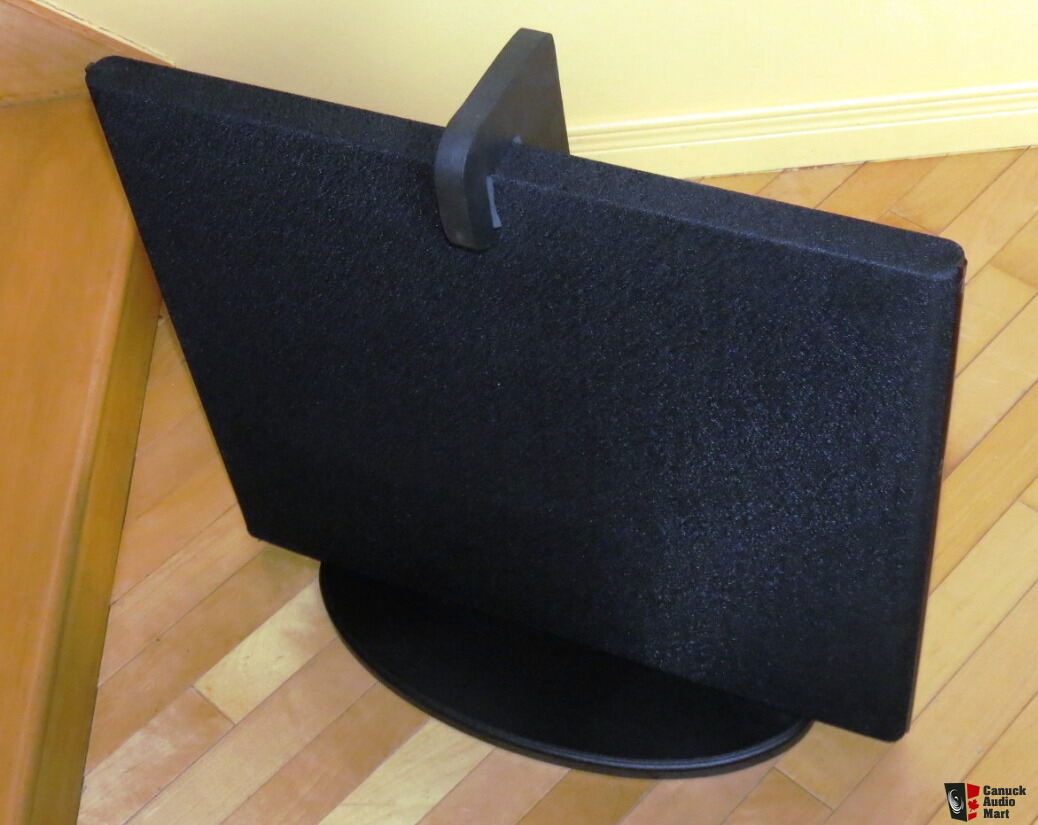 Magneplanar DWM bass panel Photo #1750242 - Canuck Audio Mart