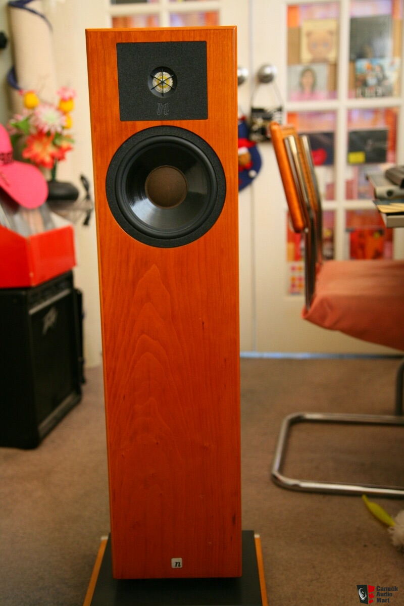 Neat Acoustics Elite Tower Speakers (pair) For Sale - US Audio Mart