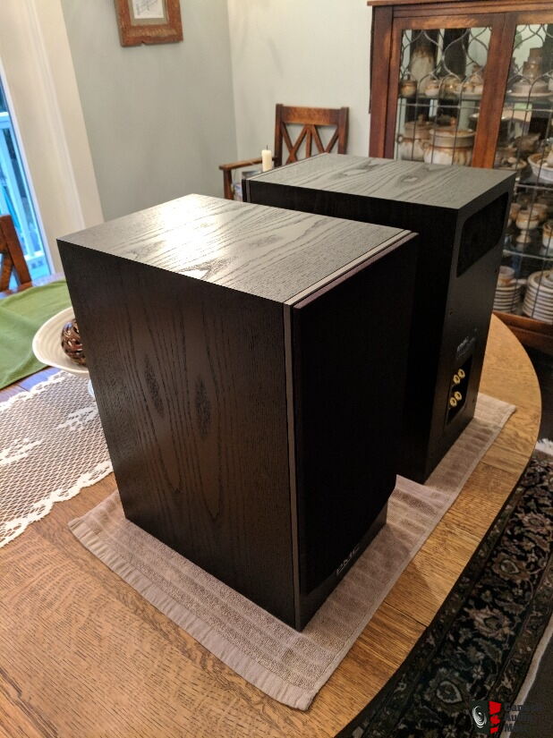 PMC TB1 Speakers for Sale Photo #1763696 - Canuck Audio Mart