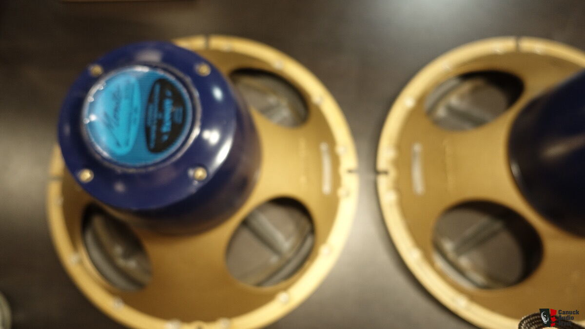 Tannoy Royal Blue 12 inch HPD 315 Drivers with Crossovers Photo ...