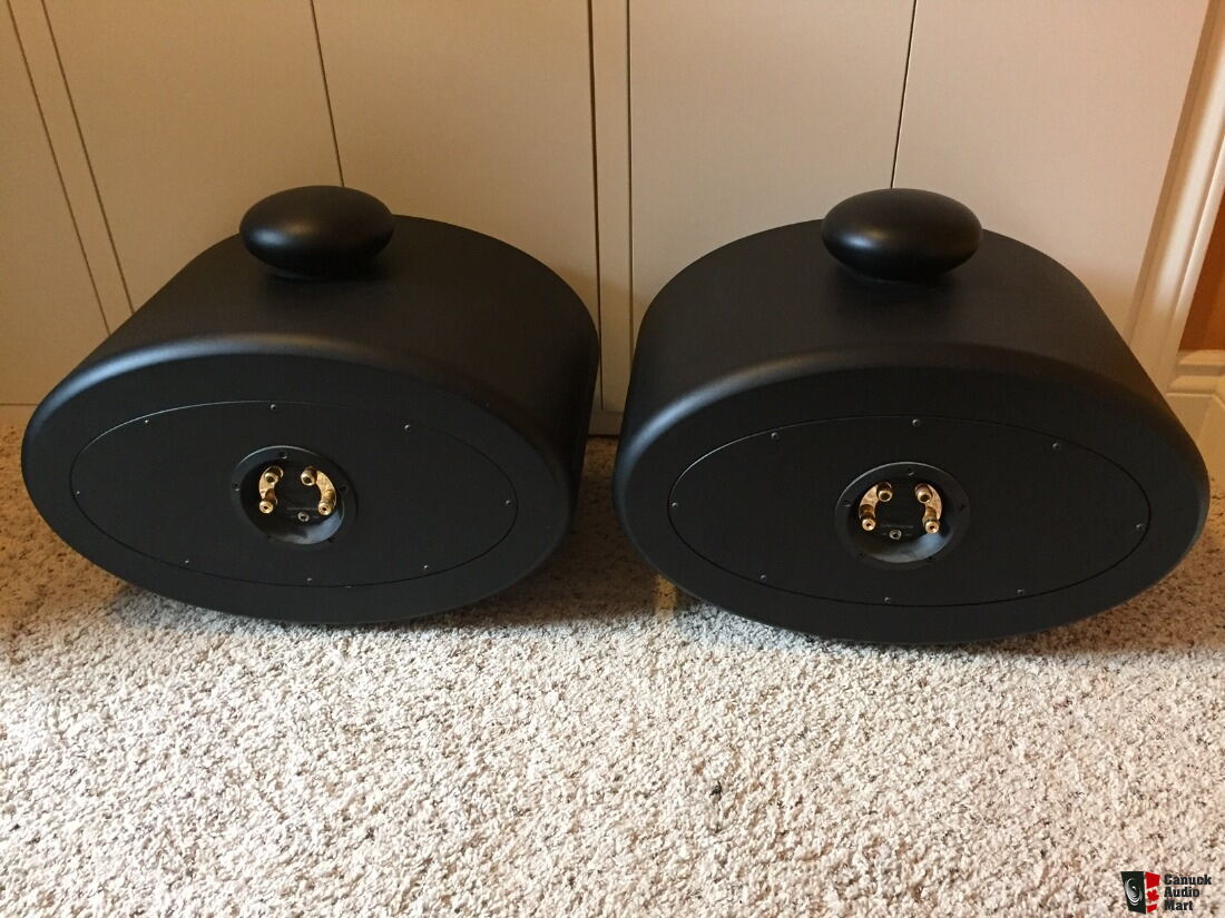Tannoy Ellipse 10" Passive Black Dual Concentric Photo #1778906 - UK ...