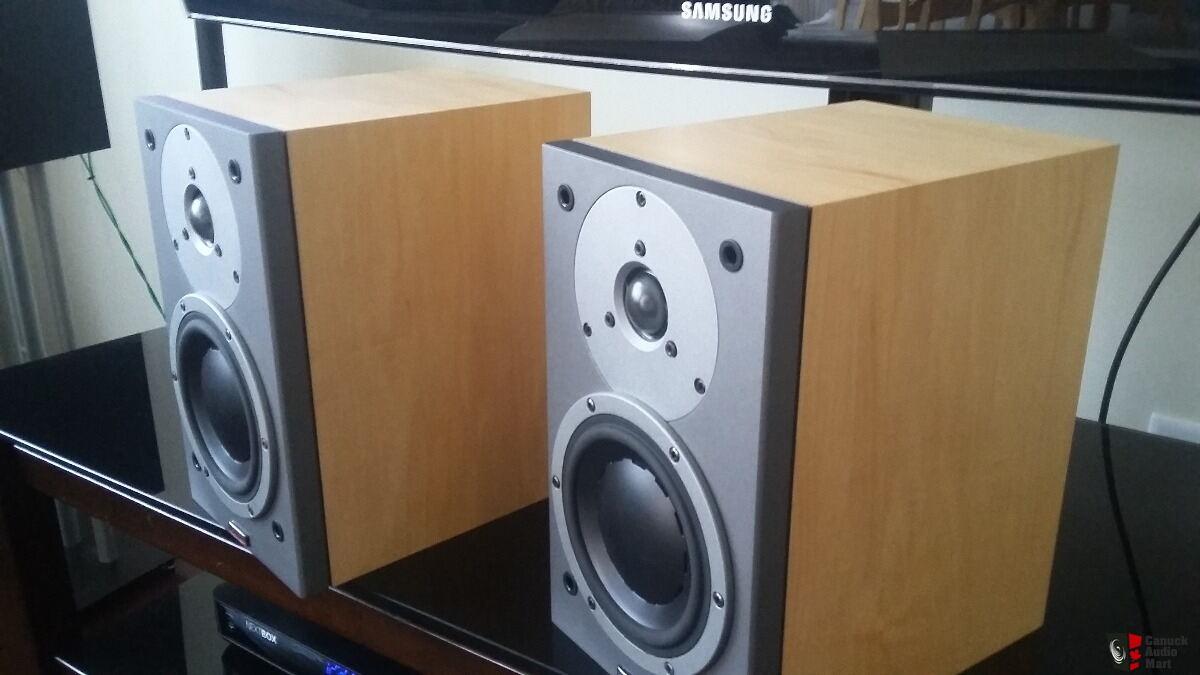 Dynaudio Audience A42 For Sale - UK Audio Mart