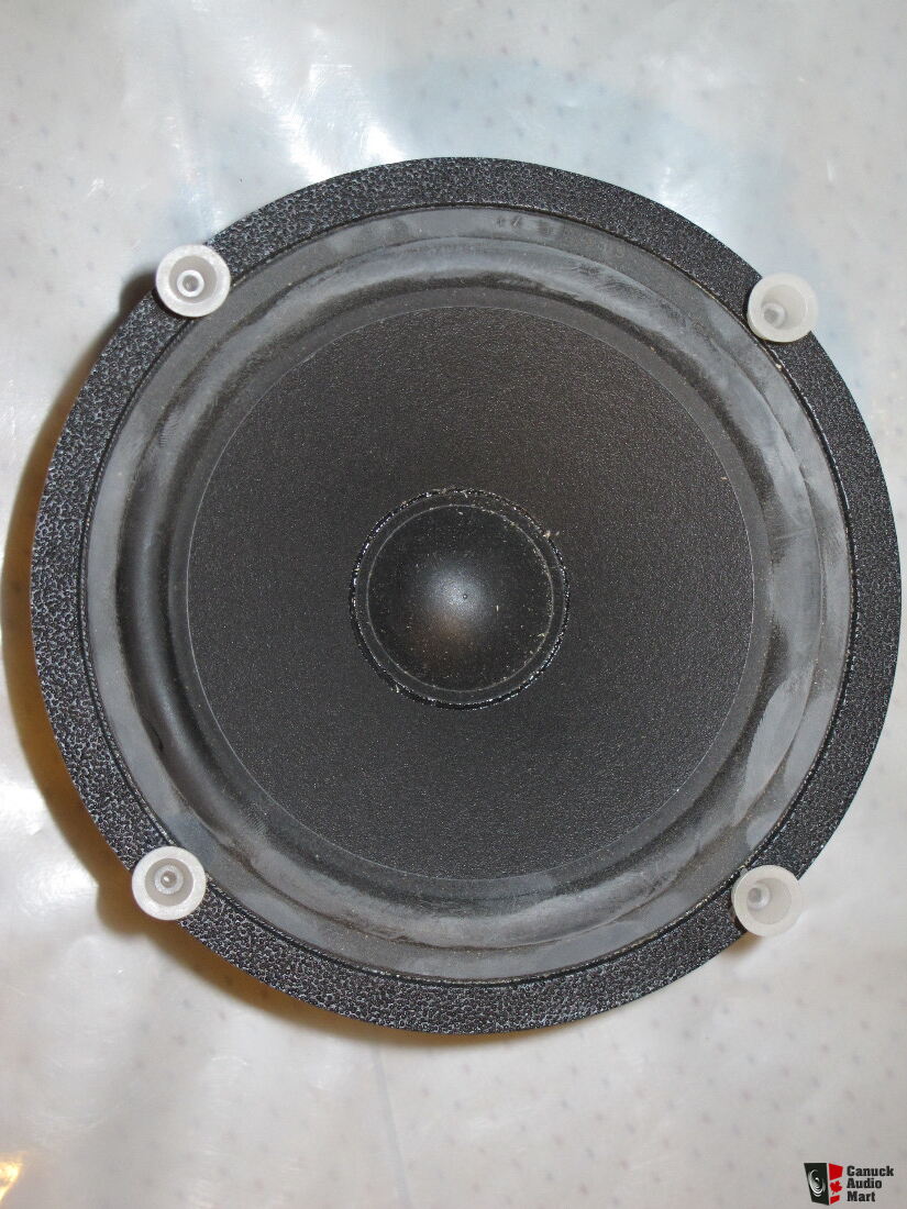 Vifa P13WH-00-08 woofer Photo #1785926 - US Audio Mart