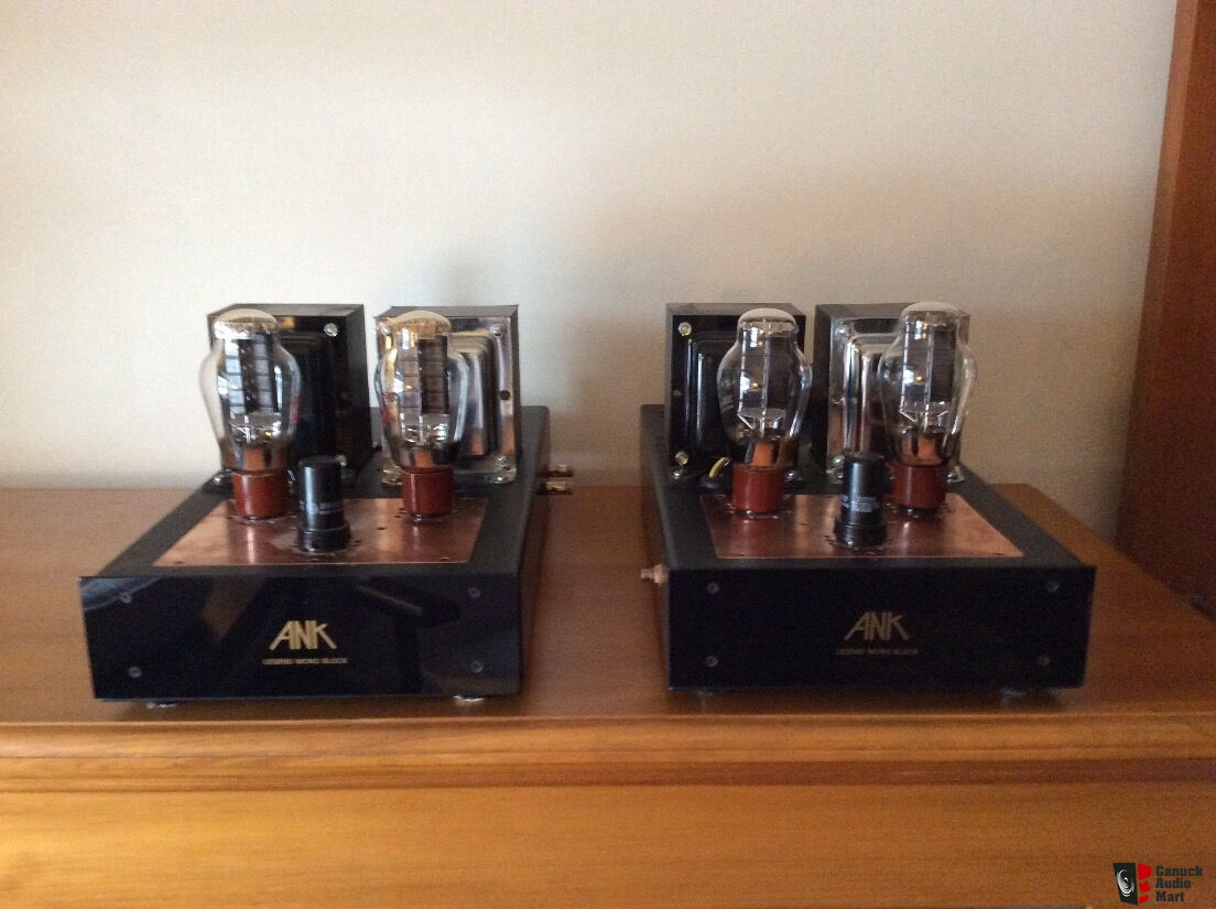 Complete ANK kits system Amps, Pre Amp, Dac, Phono stage Photo #1787431 ...