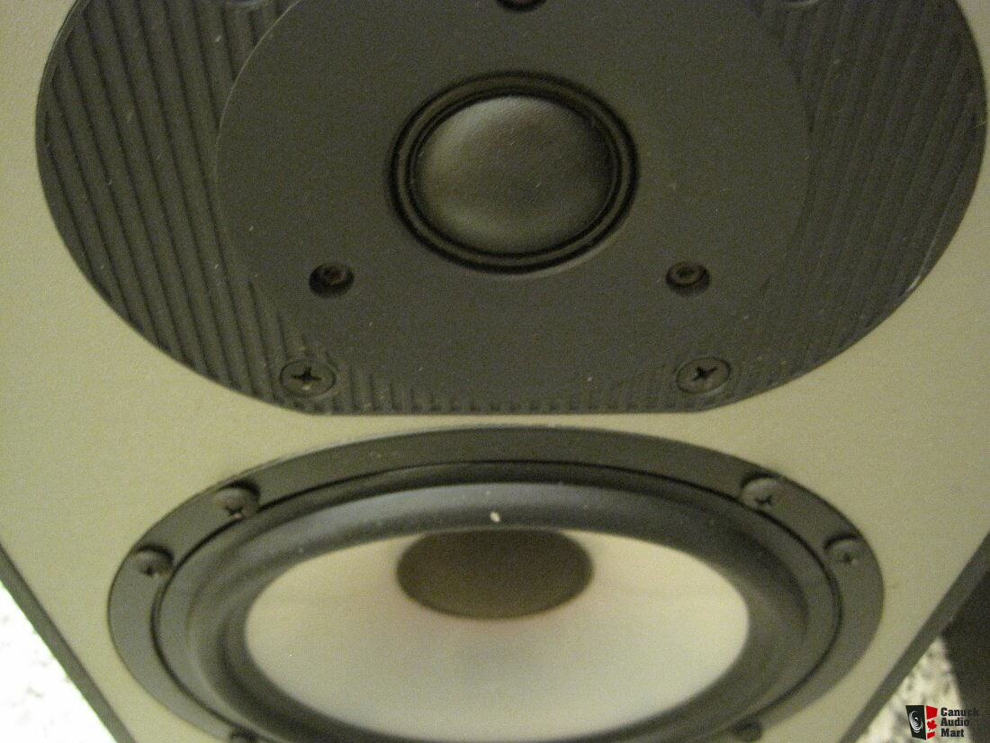 Paradigm Mini-Mk3 Speakers Photo #1791920 - US Audio Mart