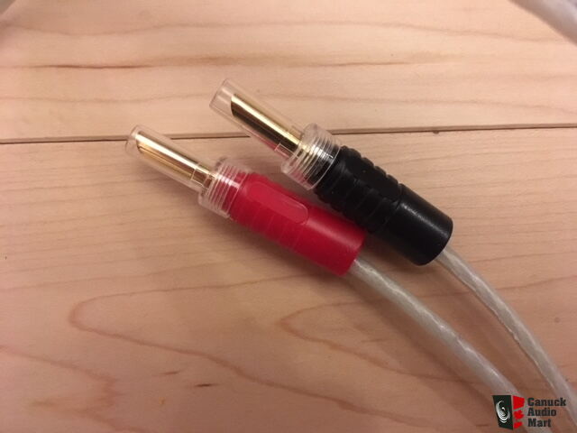 QED Qudos 25th anniversary speaker cables For Sale - UK Audio Mart