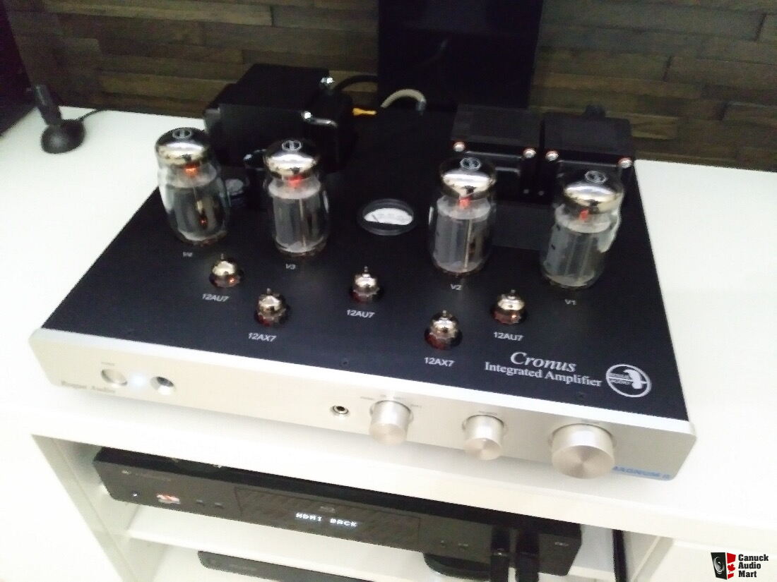 Rogue Audio Cronus Magnum II Photo #1806458 - UK Audio Mart